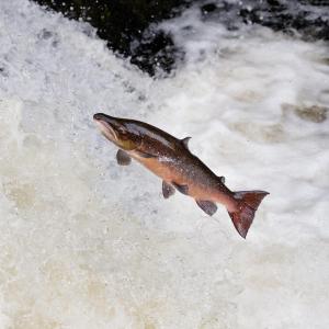 Types Of Projects European Tracking Network